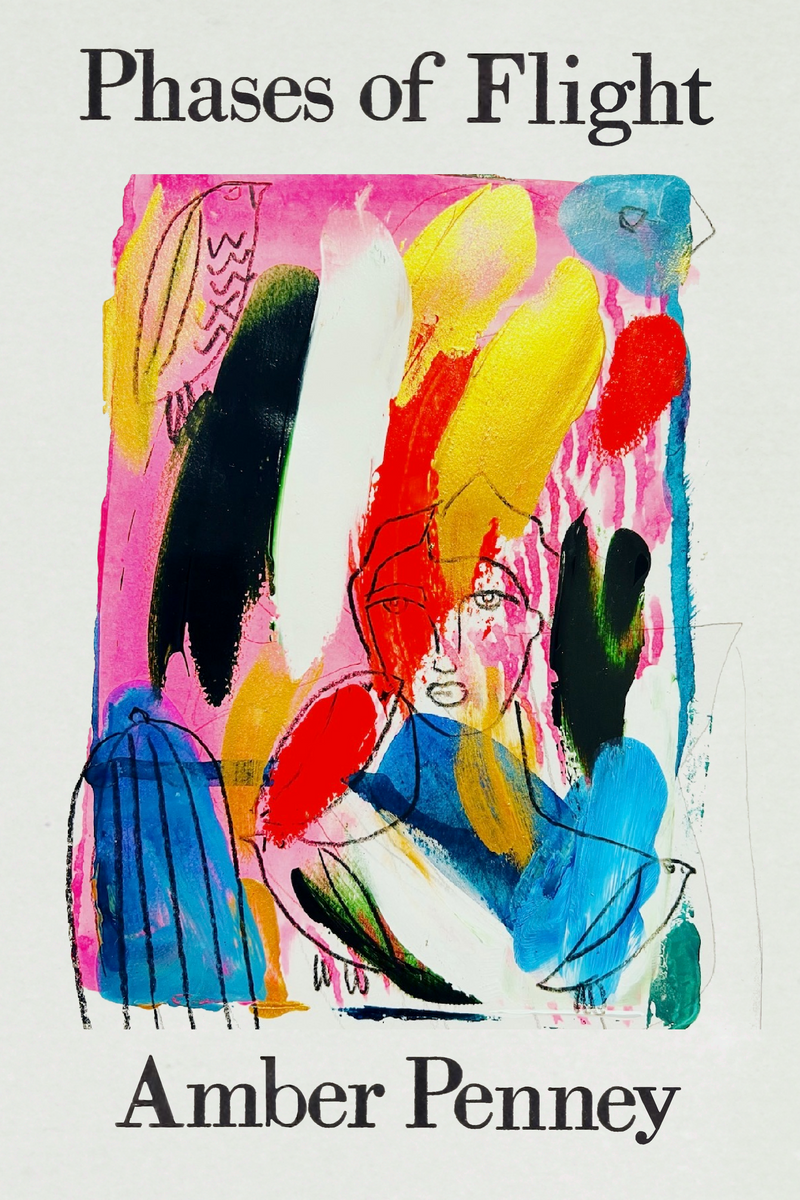 Phases of Flight, by Amber Penney - Bottlecap Press