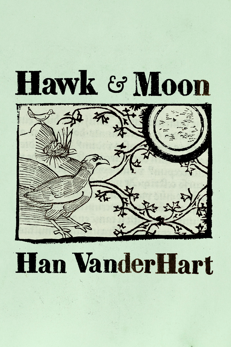Hawk & Moon, by Han VanderHart - Bottlecap Press