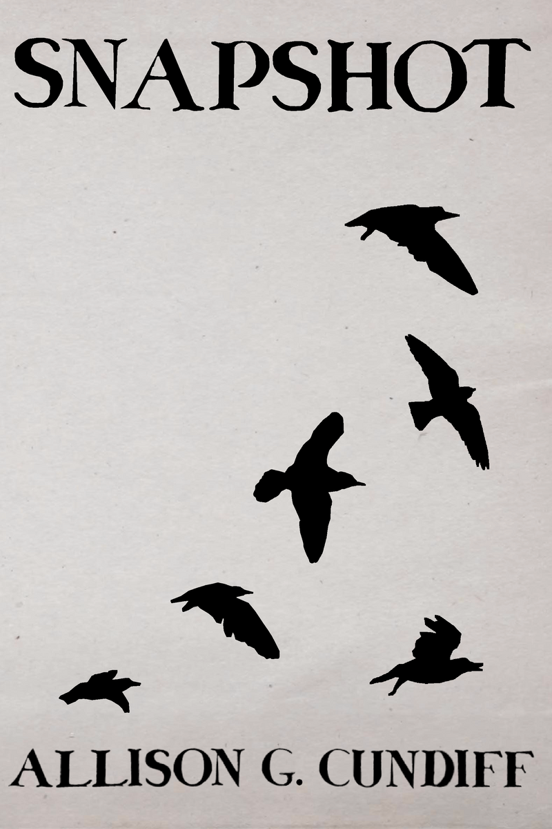 Snapshot, by Allison G. Cundiff - Bottlecap Press