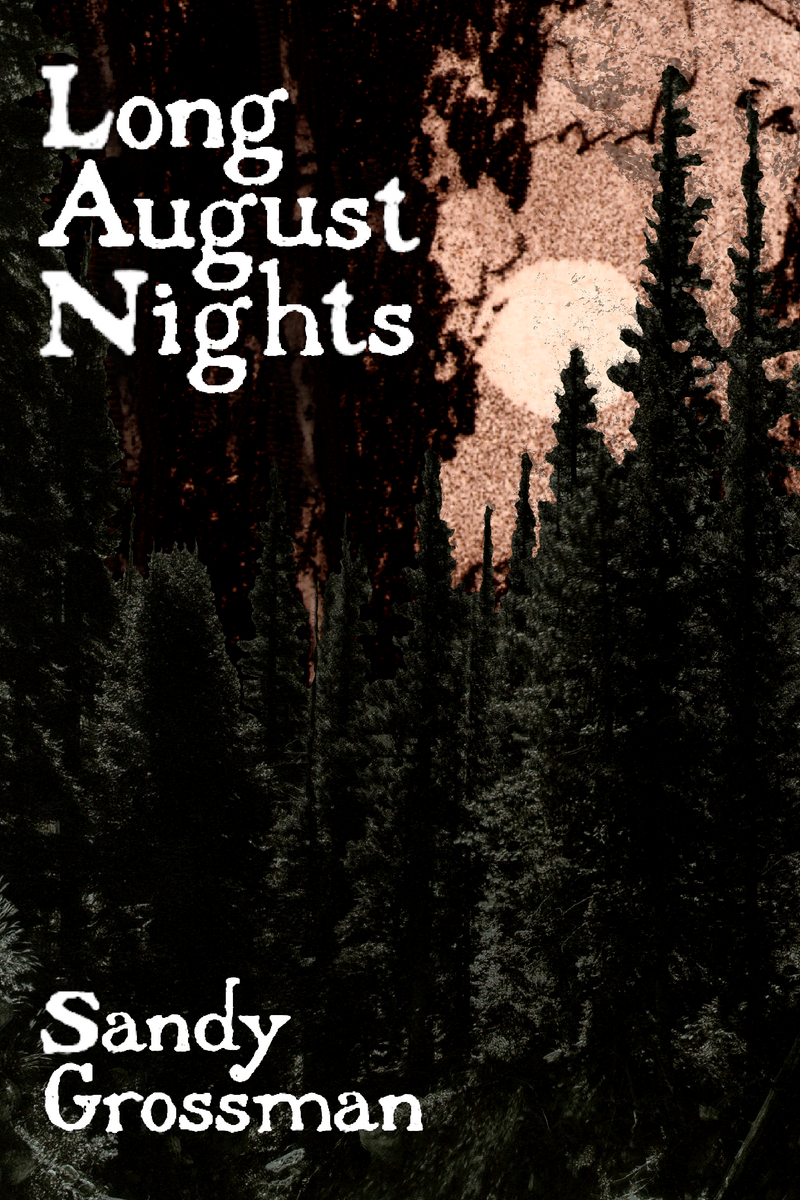 Long August Nights, by Sandy Grossman - Bottlecap Press