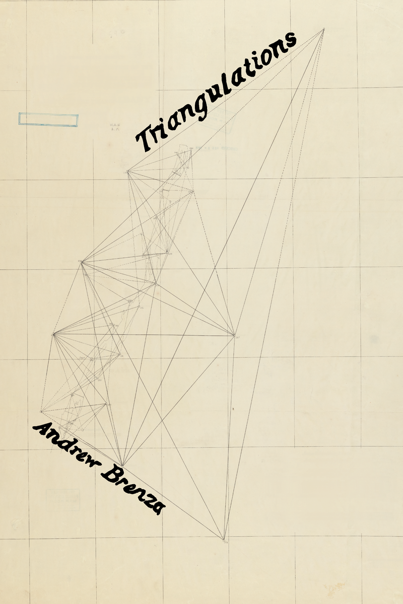 Triangulations, by Andrew Brenza - Bottlecap Press