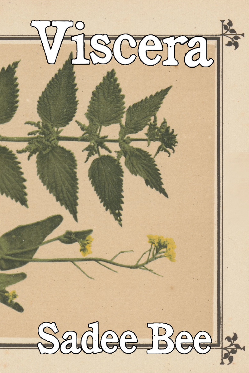 Viscera, by Sadee Bee - Bottlecap Press