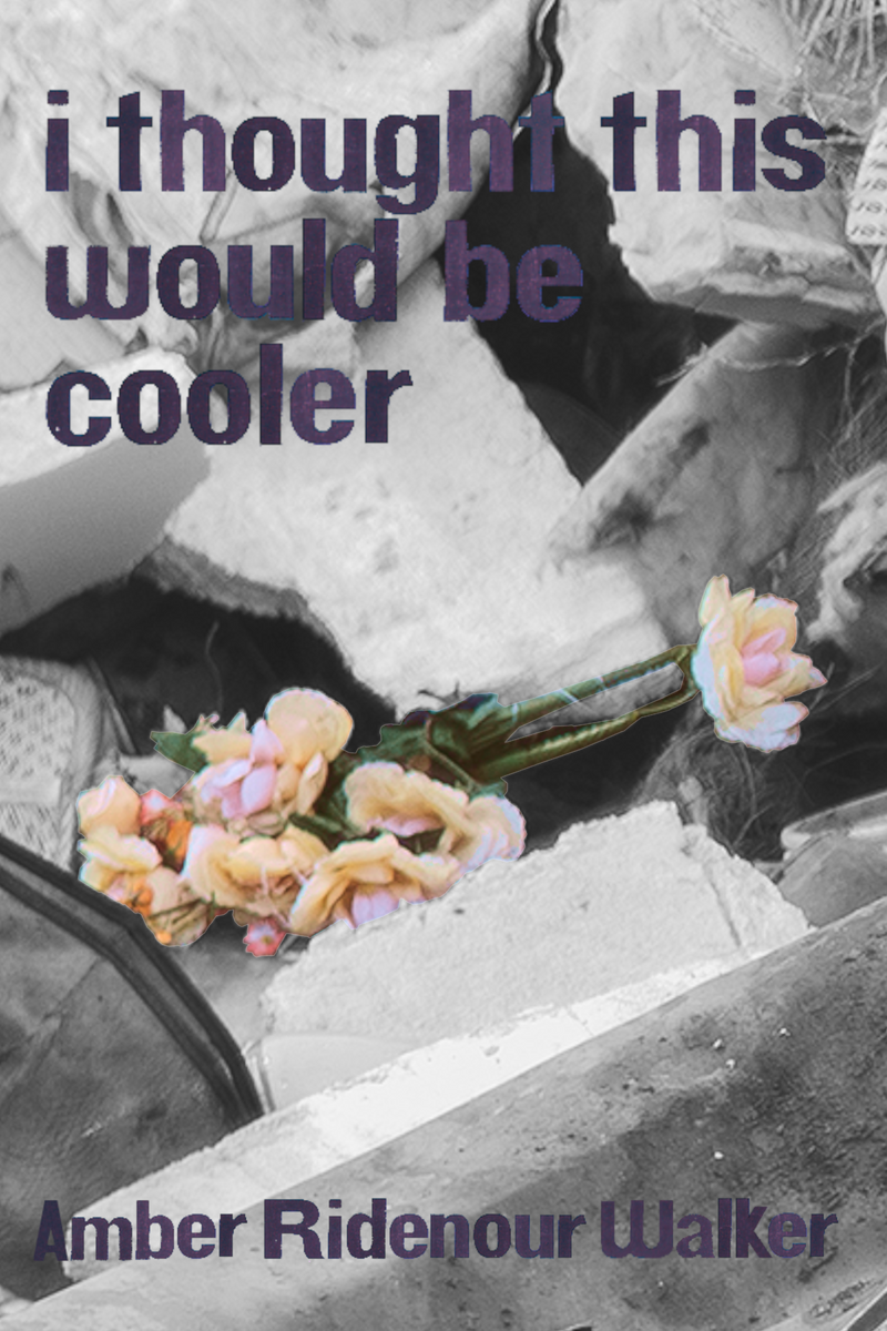 i thought this would be cooler, by Amber Ridenour Walker - Bottlecap Press