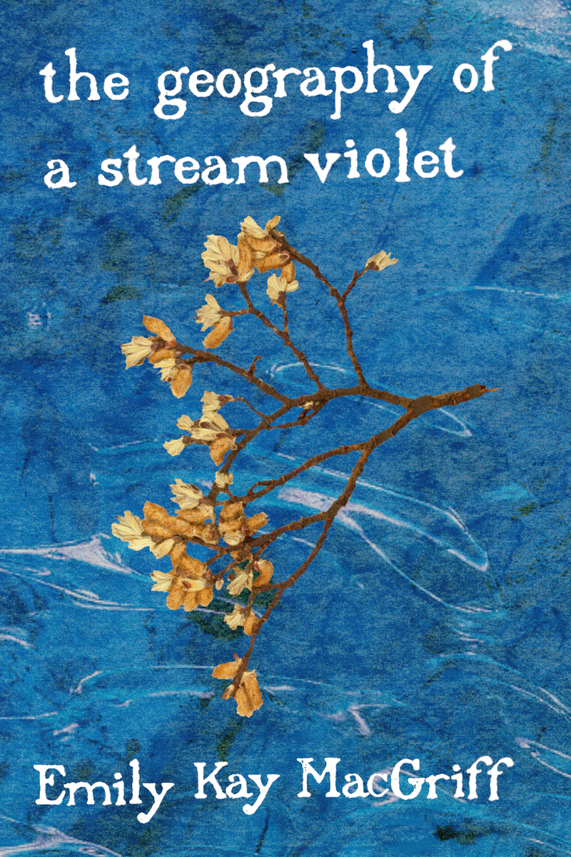 the geography of a stream violet, by Emily Kay MacGriff - Bottlecap Press