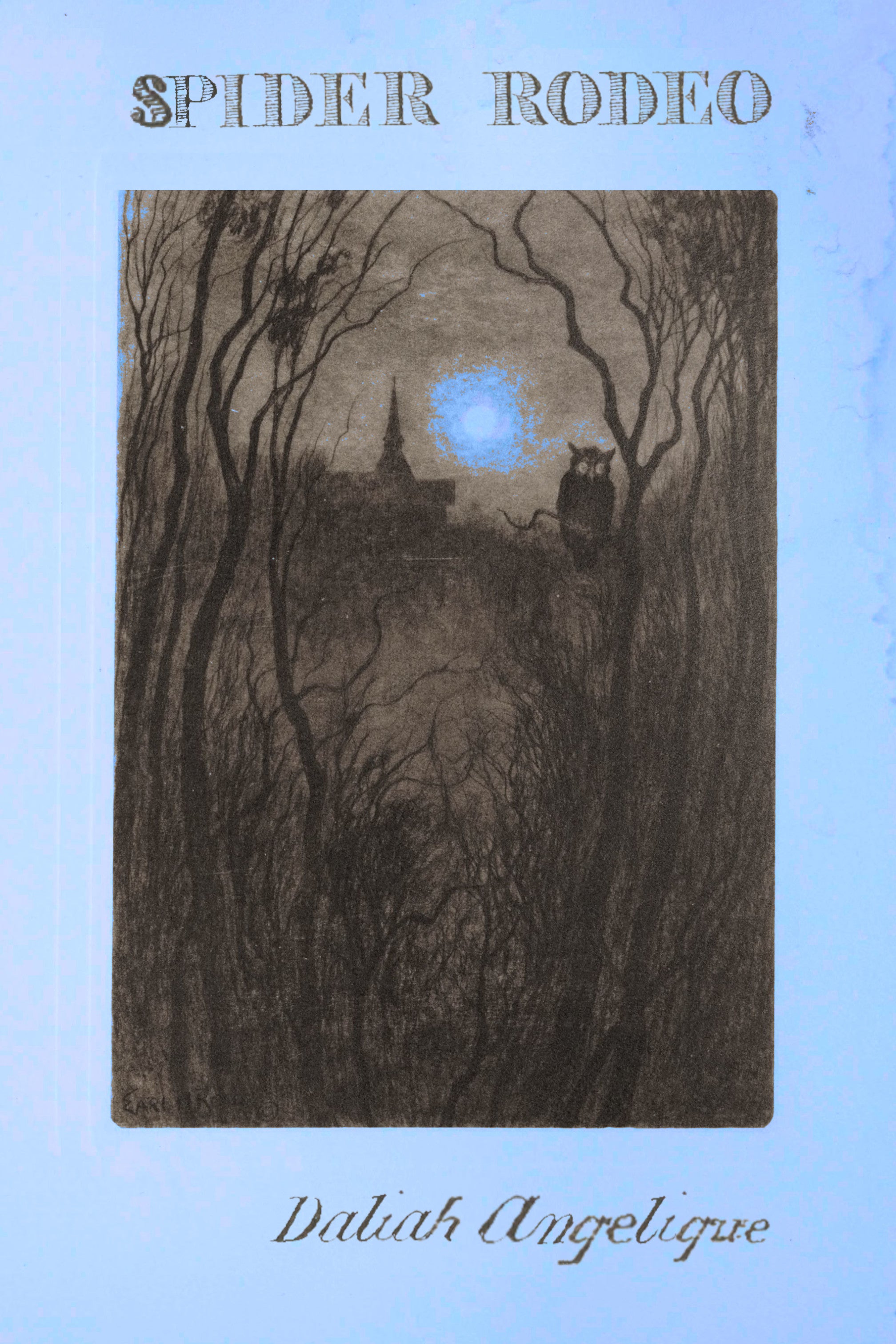 Spider Rodeo, by Daliah Angelique - Bottlecap Press