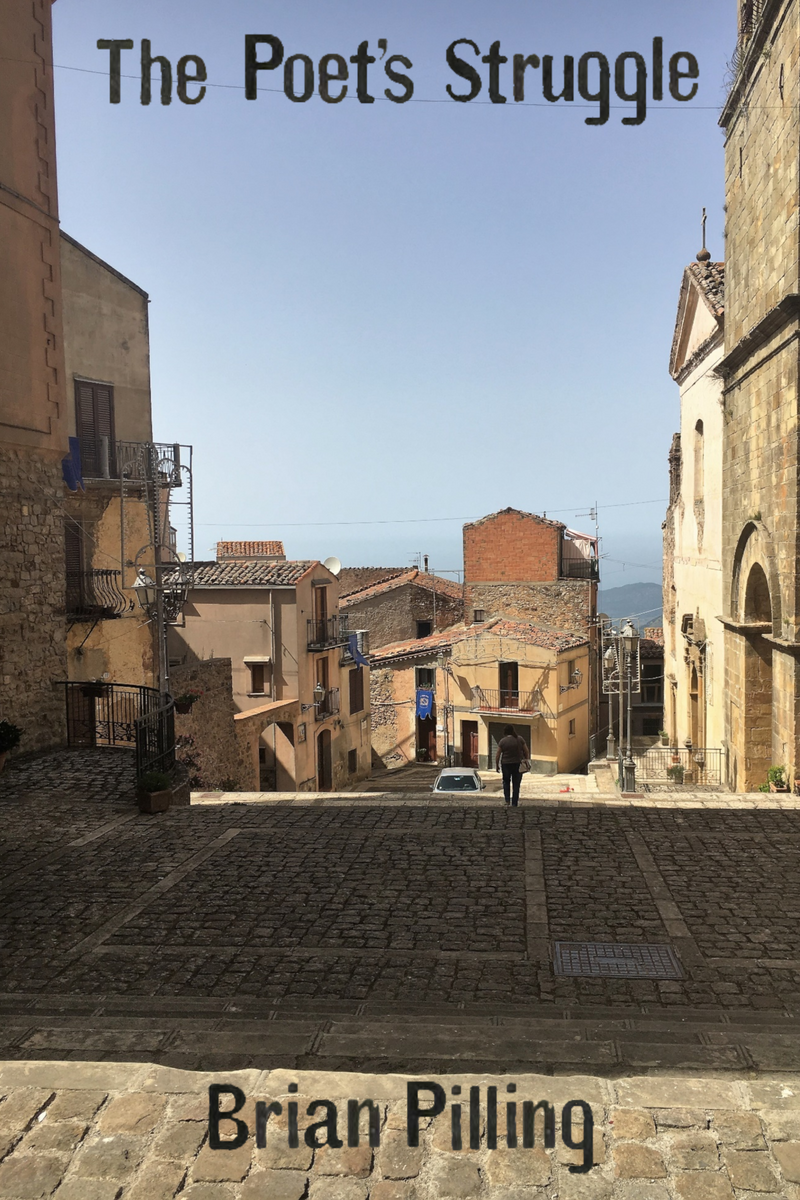 The Poet's Struggle, by Brian Pilling - Bottlecap Press